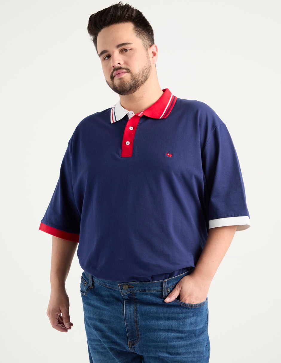 Playera tipo polo Ferrioni para hombre
